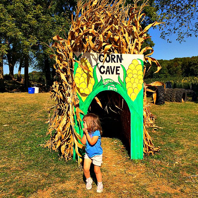 10 Reasons Why the Gaver Farm Fall Festival Really Packs in the Fun!